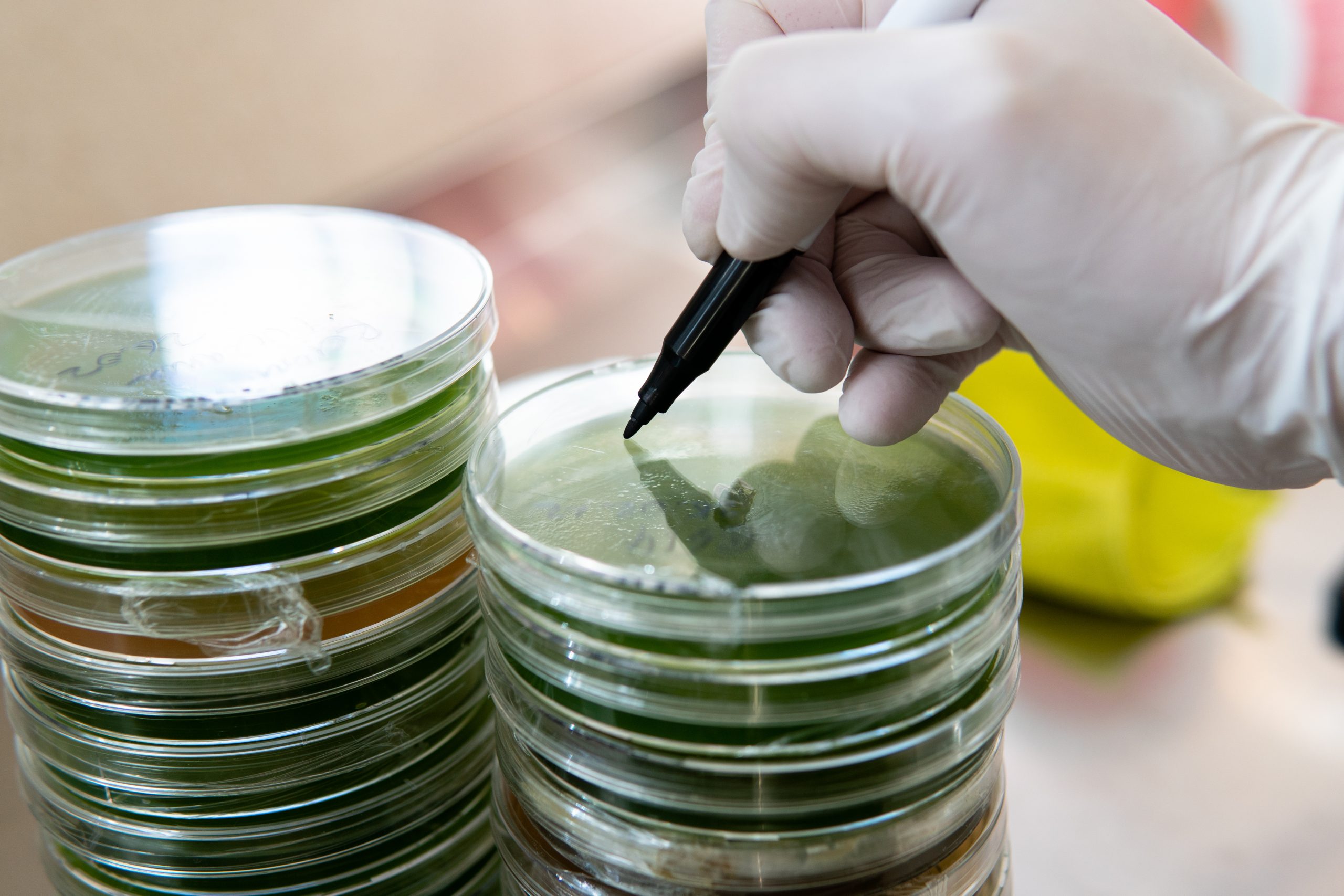 YouBio | From life, for lives